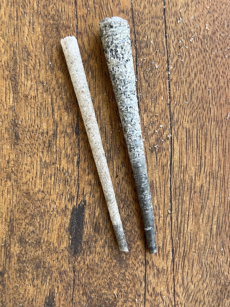 Life from Hervey Bay, Toogoom, QLD, AU on December 30, 2023 at 09:38 AM ...