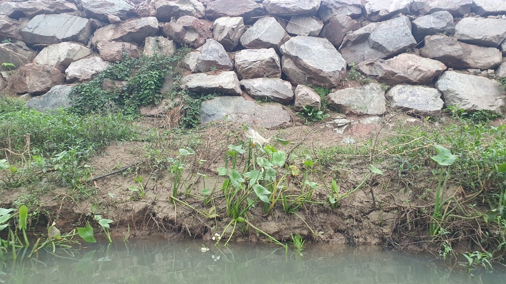 Aztec arrowhead from Brusque, SC, Brasil on July 14, 2022 by Tamily ...
