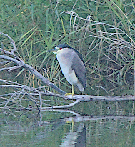 Observations by stephen12599 · iNaturalist