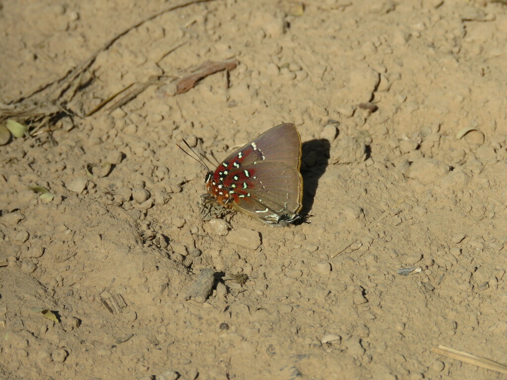 Bright Brangas from Formosa, Argentina on August 25, 2022 at 10:15 AM ...