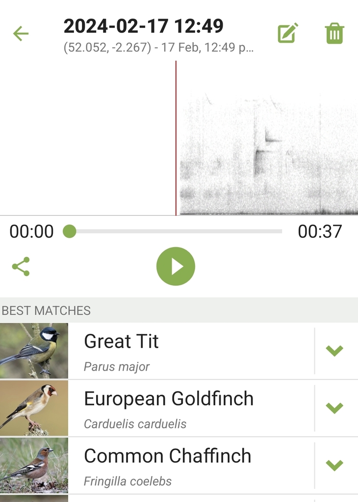 Common Chaffinch from Wheatley Lane, Worcester WR8 0SN, UK on February ...