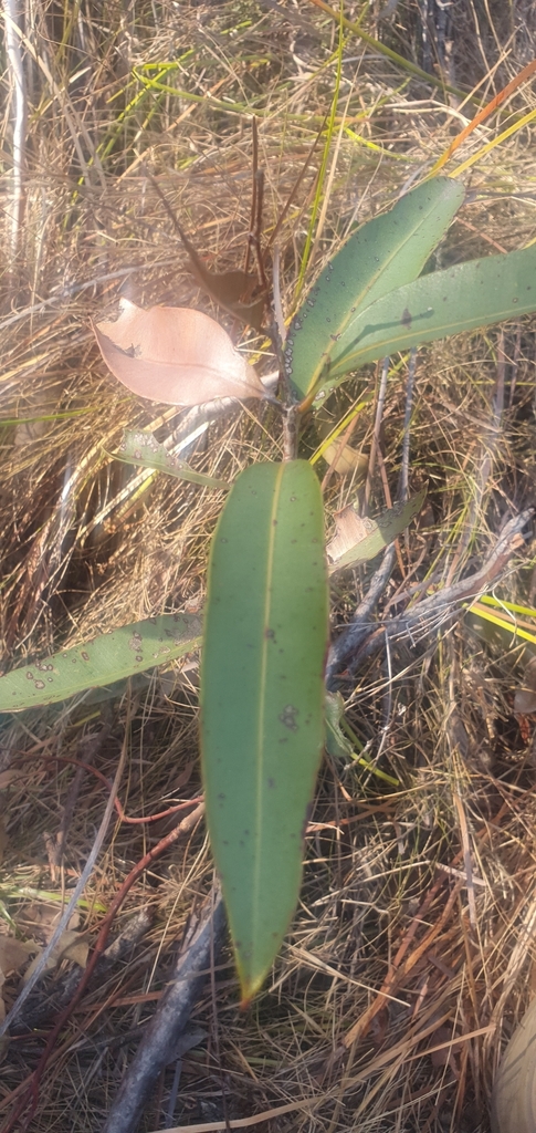 Something on September 29, 2023 at 02:32 PM by Melissa Forward ...