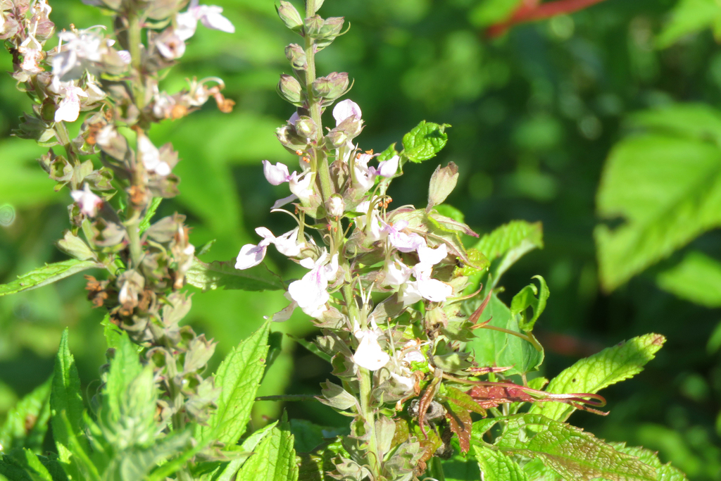 West Friendship Zip Code at Stella Prell blog