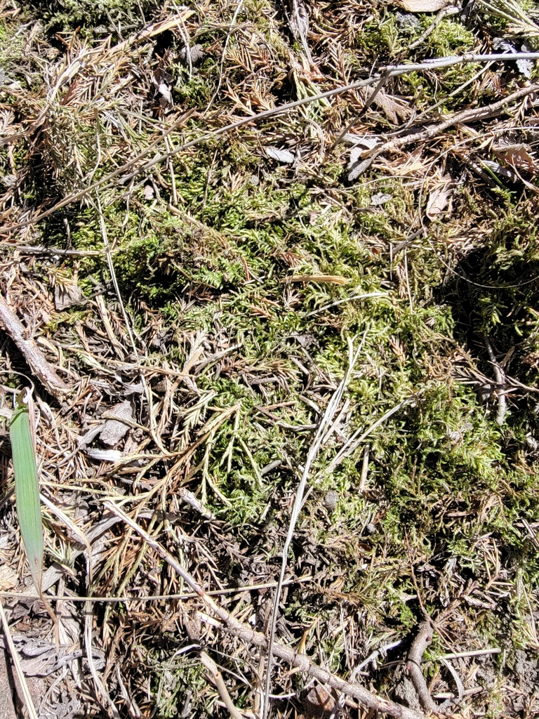 Something from Mitchell, SD 57301, USA on March 18, 2024 at 01:40 PM by ...