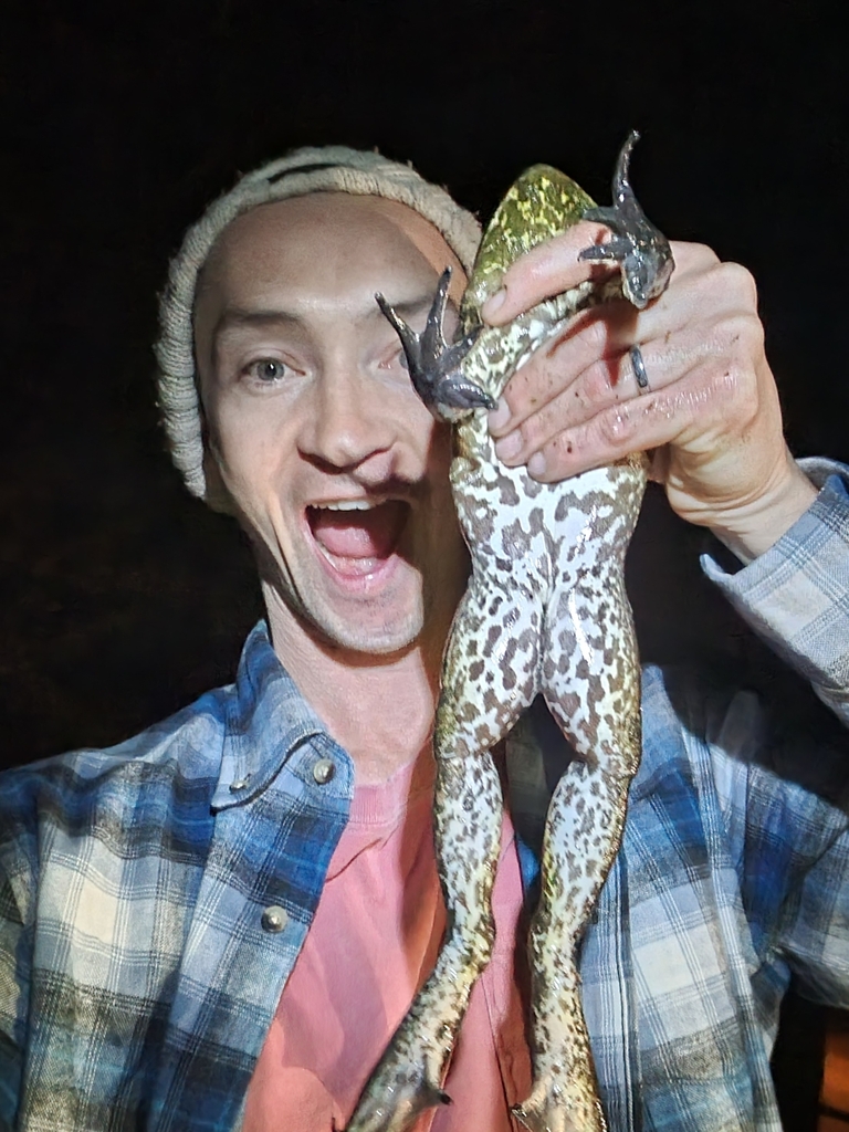 American Bullfrog from Batesville, AR 72501, USA on 07 April, 2024 at ...