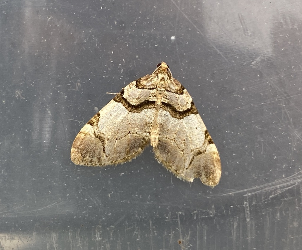 The Streamer from North Devon AONB, UK on April 8, 2024 at 08:20 AM by ...