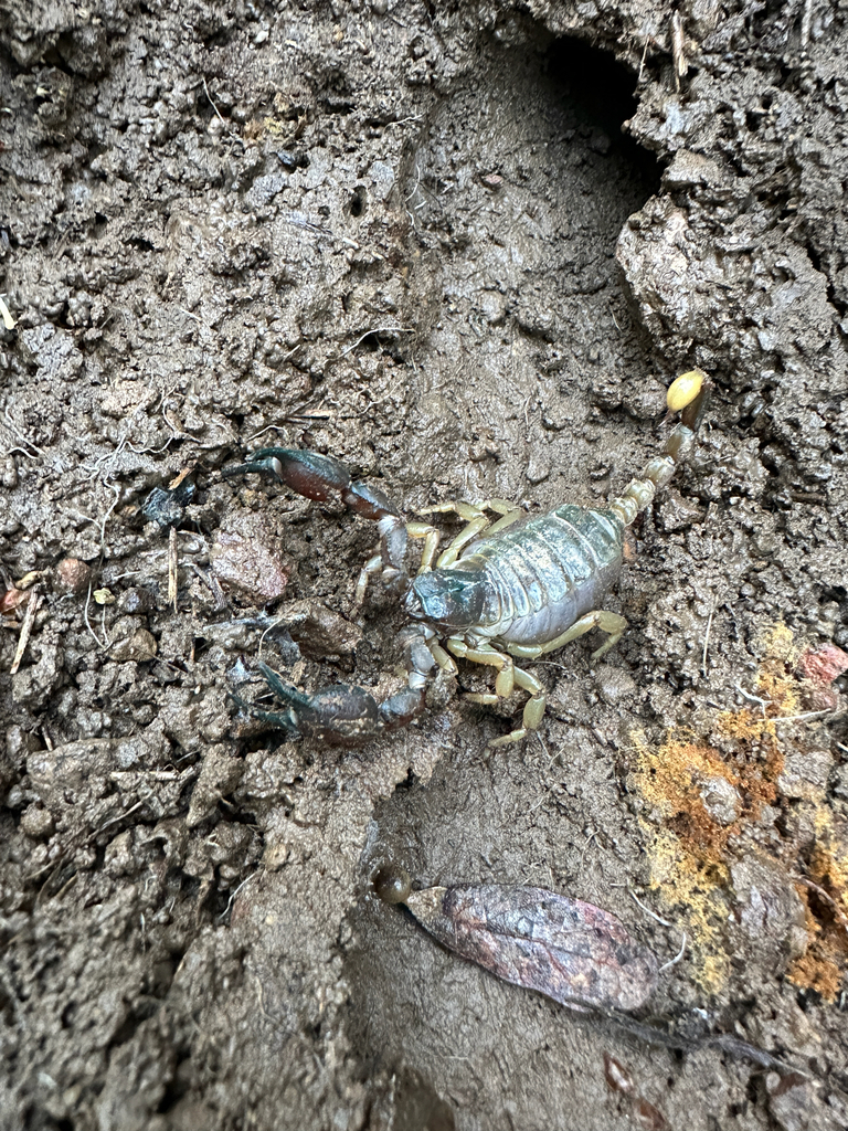 Iurida from Santa Barbara on April 14, 2024 at 07:05 PM by Elliot ...