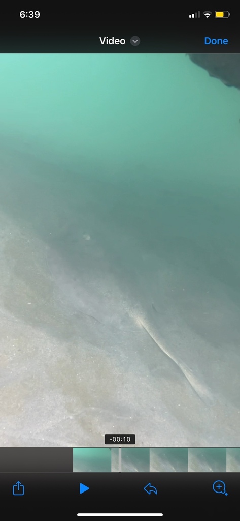 Haller's Round Ray from Bluff Pl, Los Angeles, CA, US on April 22, 2024 ...