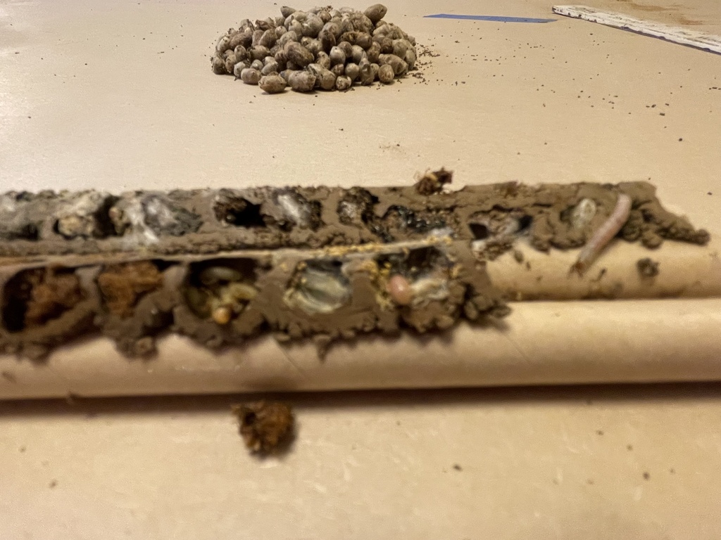 Houdini Fly from SE Scott Dr, Portland, OR, US on December 30, 2023 at ...