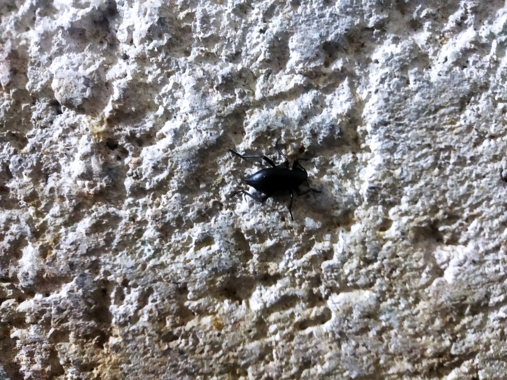 Promus from 09208, Chinam Pac de Juárez, Iztapalapa, 09208 Ciudad de ...