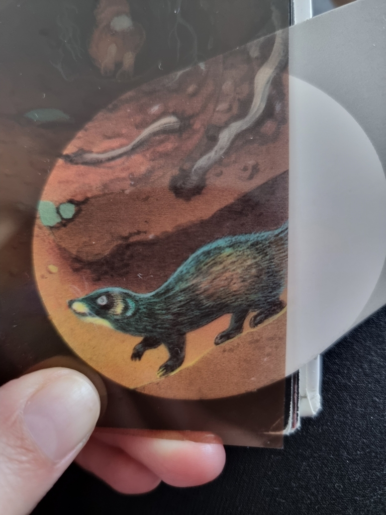 Placental Mammals from Oviedo, 33010 Siero, Asturias, España on May 20 ...