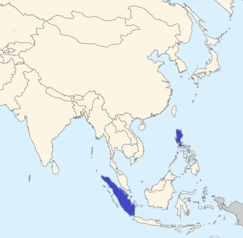 Pyrops lautus (Asian Lanternflies: the genus Pyrops) · iNaturalist