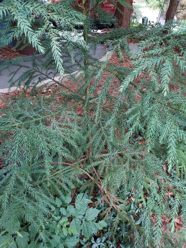 Something from Roxborough, Philadelphia, PA, USA by Charles Kupar ...