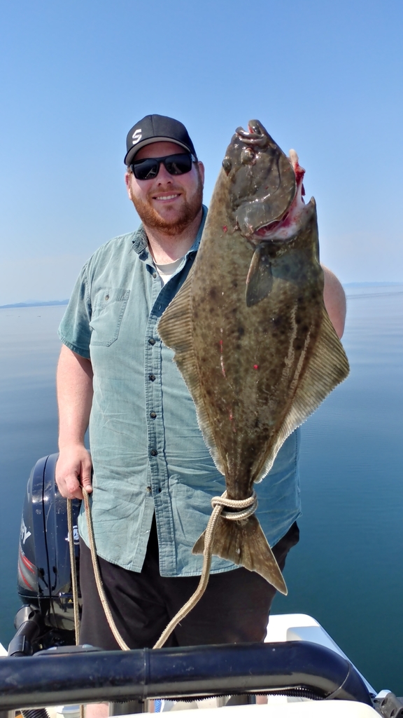 Pacific Halibut from Mount Waddington A, BC, Canada on May 26, 2019 at ...