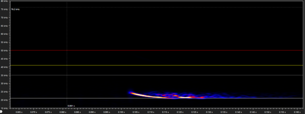 Common Noctule from Rewe, Exeter EX5 4ER, UK on July 14, 2024 at 10:22 ...