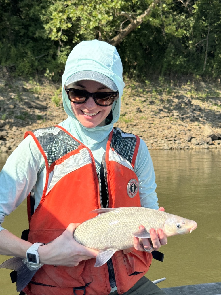 Blue Sucker from Missouri River, Kansas City, KS, US on August 26, 2024 ...
