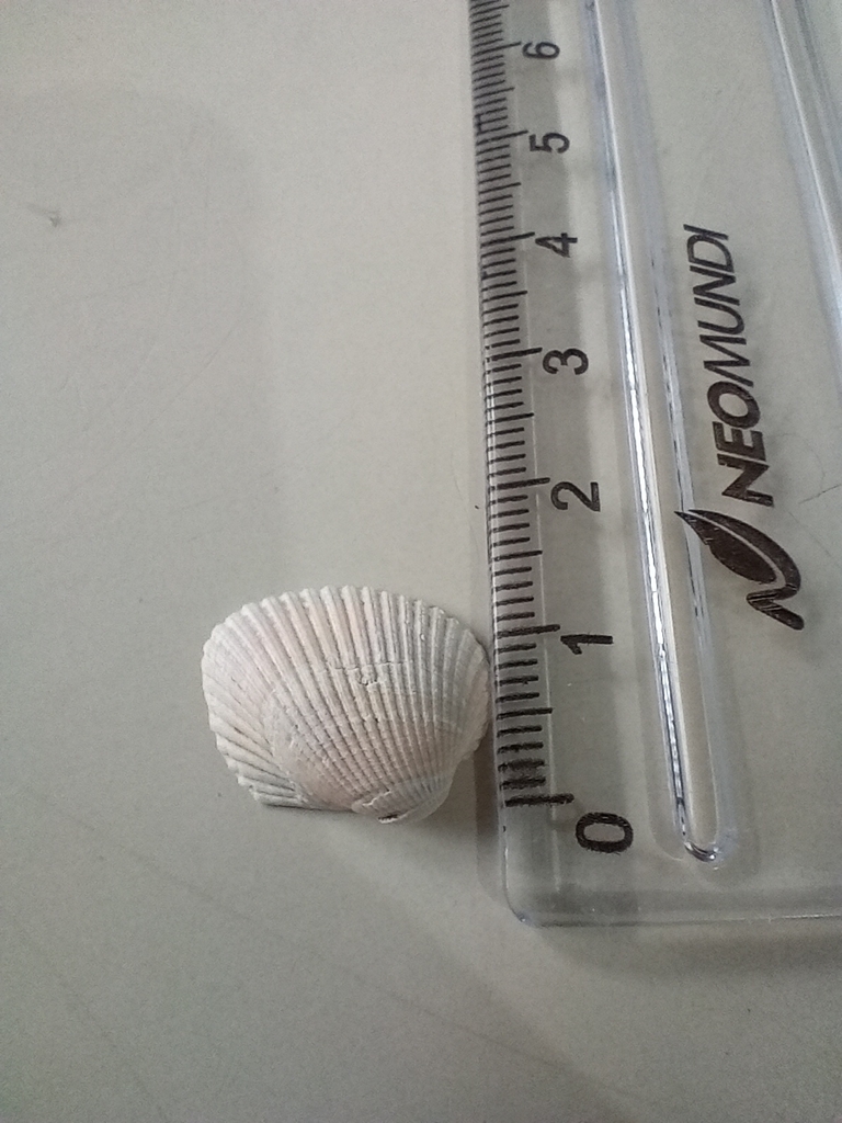 Blood Ark from São Pedro, Navegantes - SC, 88375-000, Brasil on May 21 ...