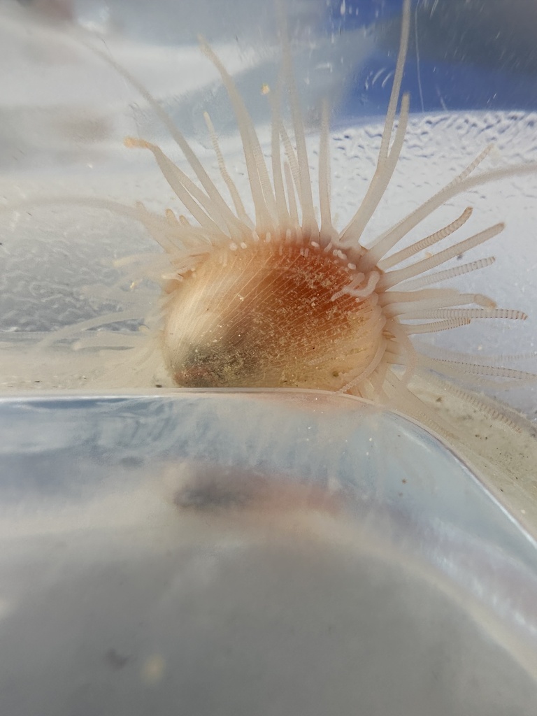 Rough File Clam from BS on October 21, 2024 at 03:12 PM by marcobturner ...