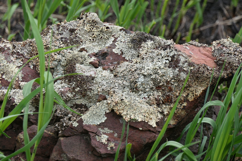 Cumberland Rock Shield from Medora, ND 58645, USA on May 27, 2018 at 10 ...