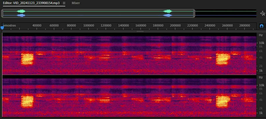 Brown-bordered Snouted Tree Frog from Terezópolis de Goiás, GO, 75175 ...
