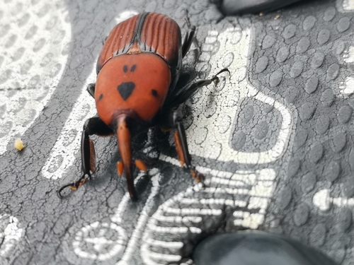 Photo 45304381, (c) Andrey Fadeev, all rights reserved, uploaded by ...