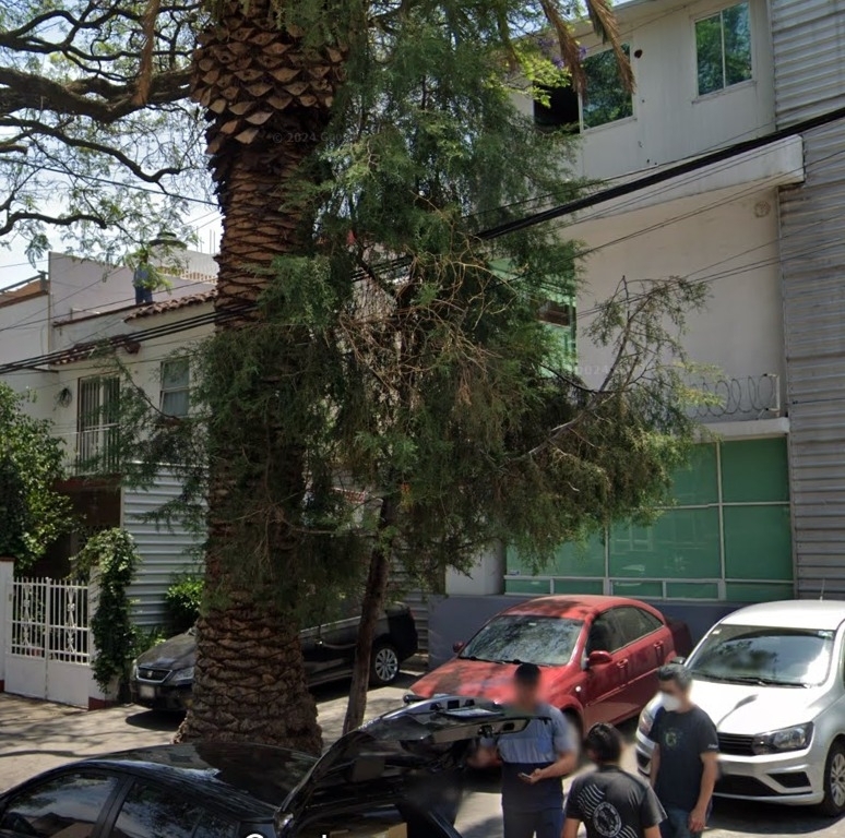 cedar of Goa from Polanco, Polanco III Secc, 11540 Ciudad de México ...