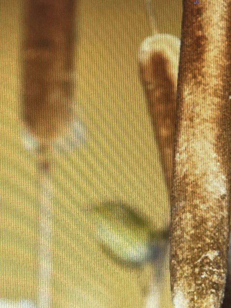 Something from Queen Elizabeth Walk, London, England, GB on January 11 ...