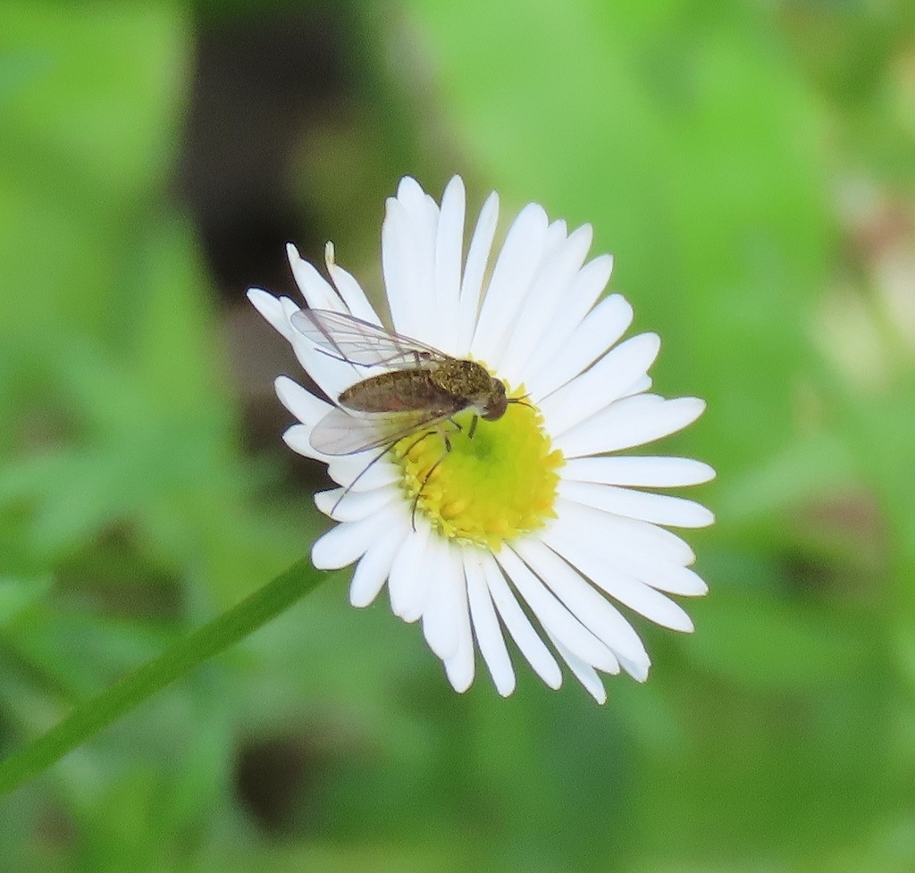 Geron from Wallaga Lake NSW 2546, Australia on January 25, 2025 at 01: ...