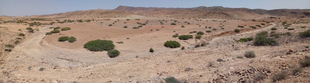 Lotus of the Lotophages from Nador Province, Marrocos on June 8, 2019 ...