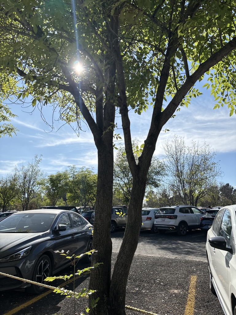 Shamel Ash from Universidad Iberoamericana(IBERO), San Bernardino ...