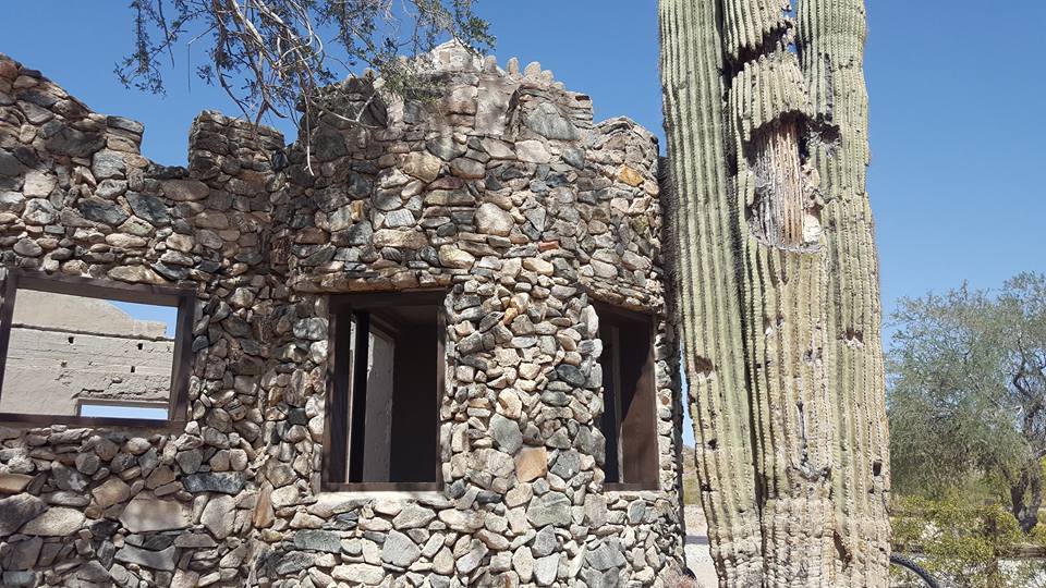saguaro from 30067007, Phoenix, AZ 85042, USA on April 12, 2017 by ...