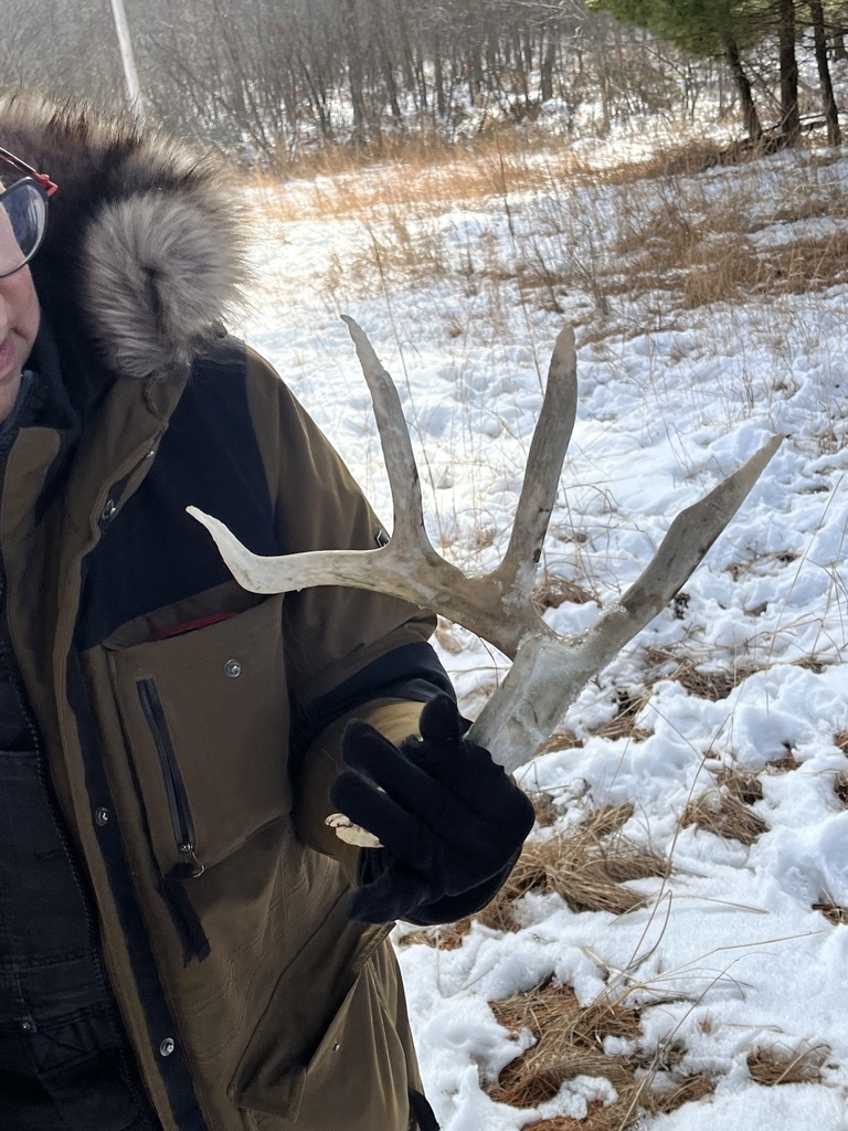White-tailed Deer from East Bethel, MN, US on February 22, 2025 at 02: ...