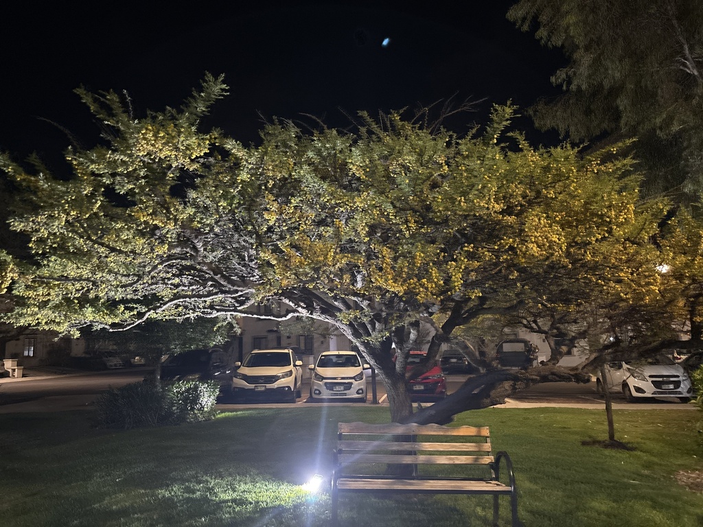 Something from Zakia, Zakia, Qro., MX on February 22, 2025 at 07:54 PM ...