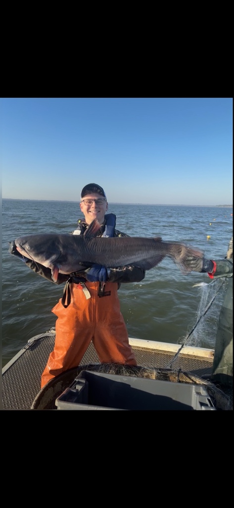 Blue Catfish from Lake Moultrie, Bonneau, SC, US on February 04, 2025 ...
