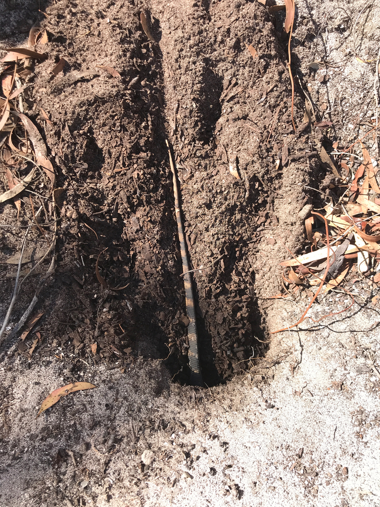 Heath Monitor from Inneston, SA, AU on April 14, 2025 at 11:43 AM by ...