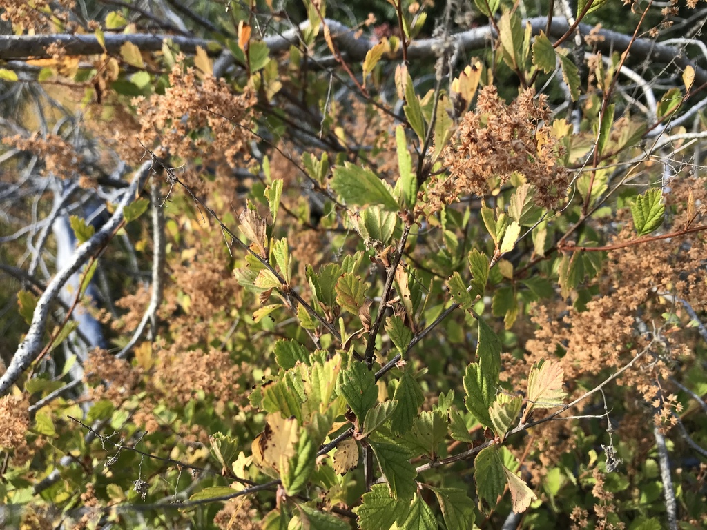 Ocean spray from Lower Lake, CA, US on September 25, 2019 at 09:22 AM ...
