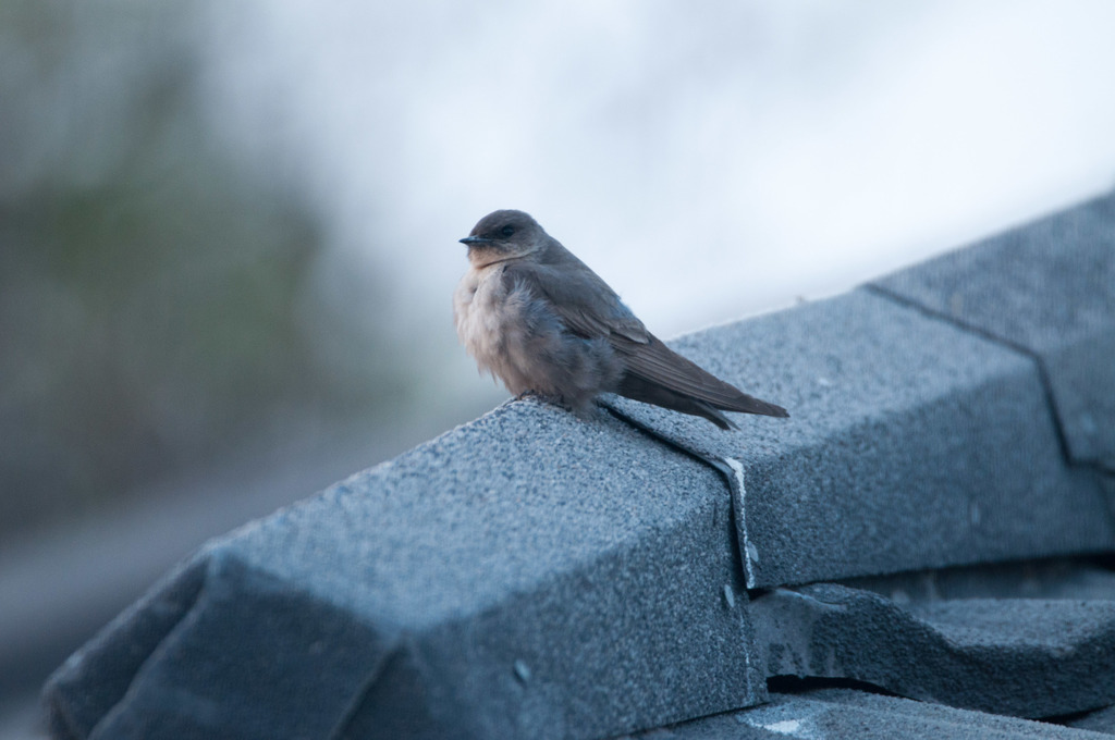 Rock Martin from Okaukuejo, Namibia on August 29, 2018 at 07:13 AM by ...