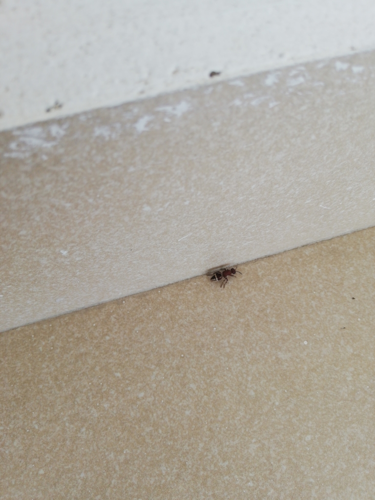 Timulla from Guadalupe, N.L., México on October 19, 2019 at 10:59 AM by ...