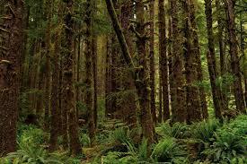 High (Differences in Vegetation) · BioDiversity4All