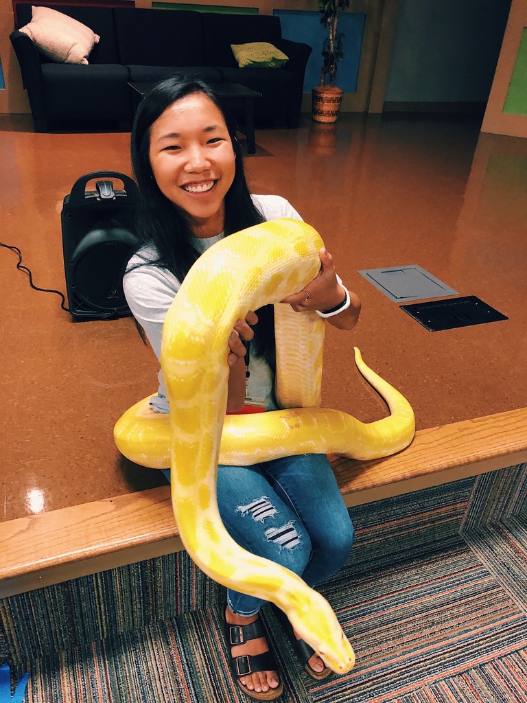 Burmese Python in June 2019 by Lily Royston · iNaturalist