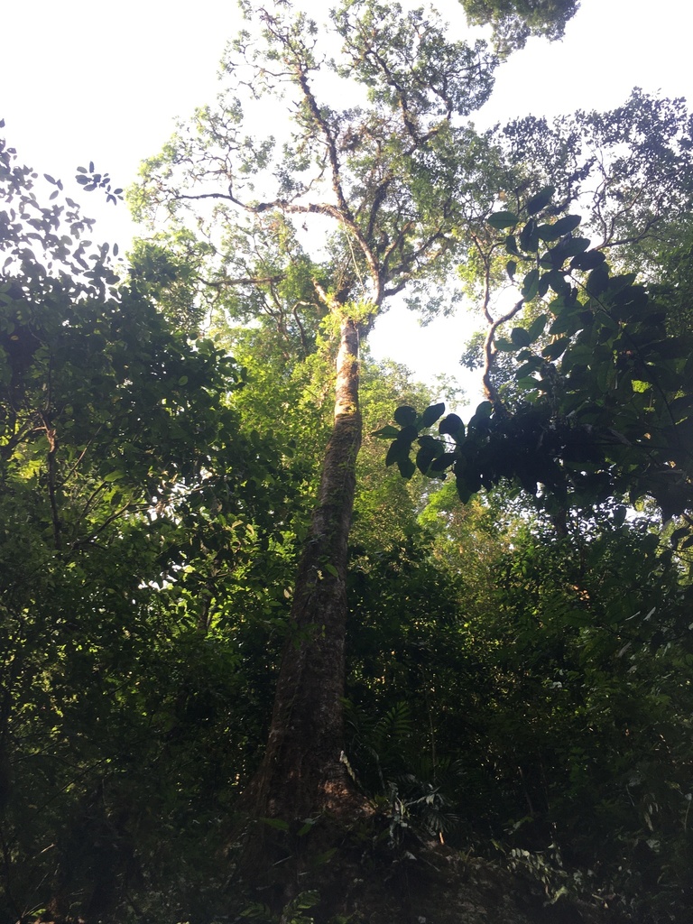 nazareno from Golfito, CR-PU, CR on April 19, 2020 at 04:06 PM by ...