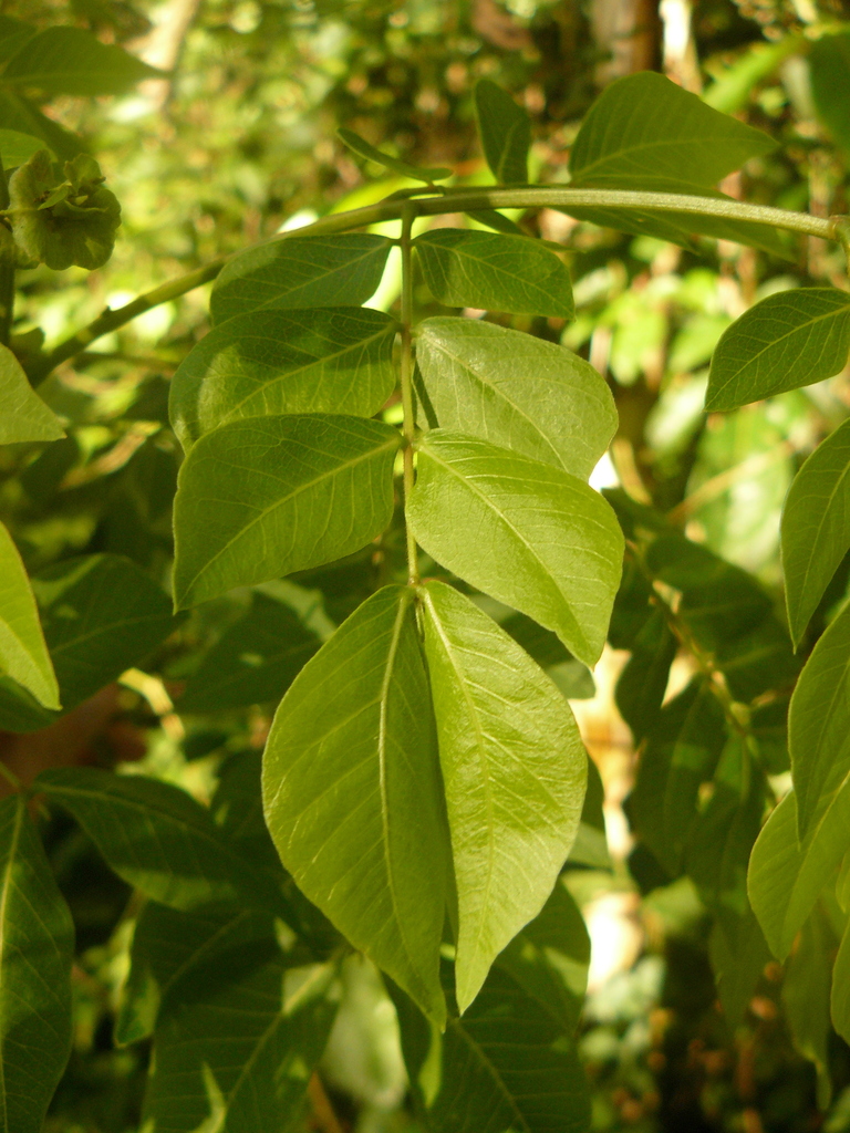 Nongo from Kakamega, Western, Kenya on November 19, 2018 at 01:23 AM by ...