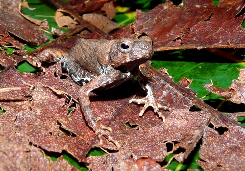 Photo 67957, (c) Benjamin Tapley, all rights reserved, uploaded by ...