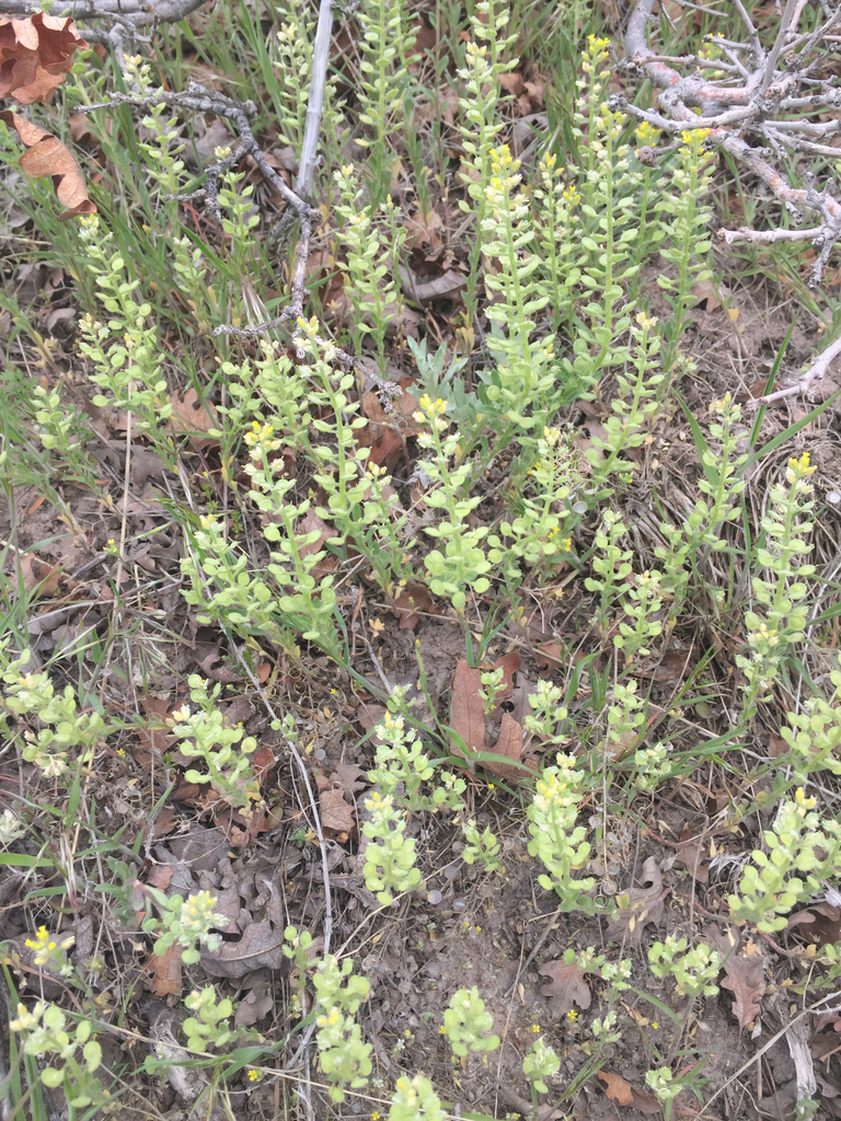 Field Alison from 300 Wakara Way, Salt Lake City, UT, US on April 18 ...