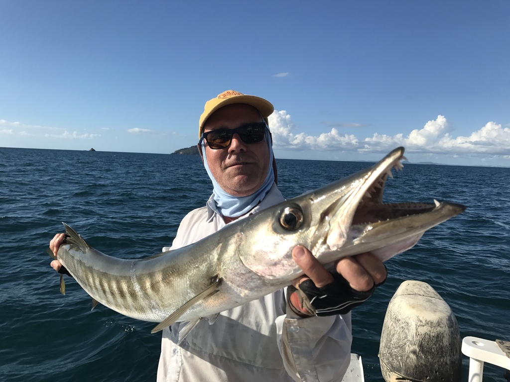 Pickhandle Barracuda from Mozambique Channel, , , on April 24, 2017 at ...