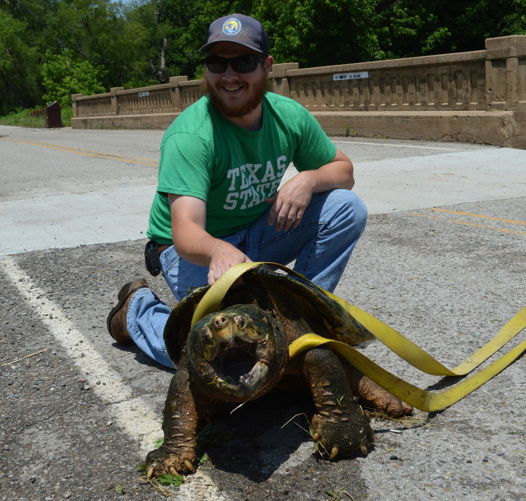 Alligator Snapping Turtle in June 2013 by John Muller. Tishomingo NWR ...