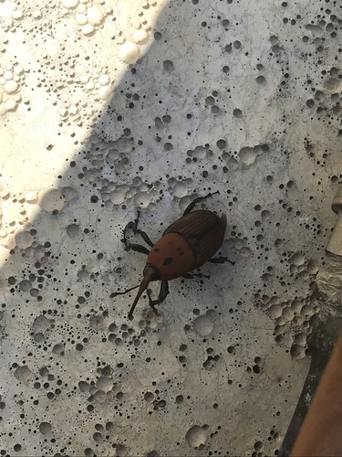 Photo 89065432, (c) Loth Deborah, all rights reserved, uploaded by Loth ...