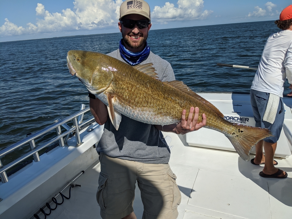 Red Drum from United States on August 12, 2020 at 10:11 AM by Ben ...