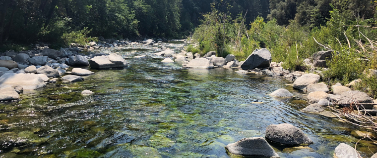 Earth Day Backyard Bioblitz 2021 · iNaturalist