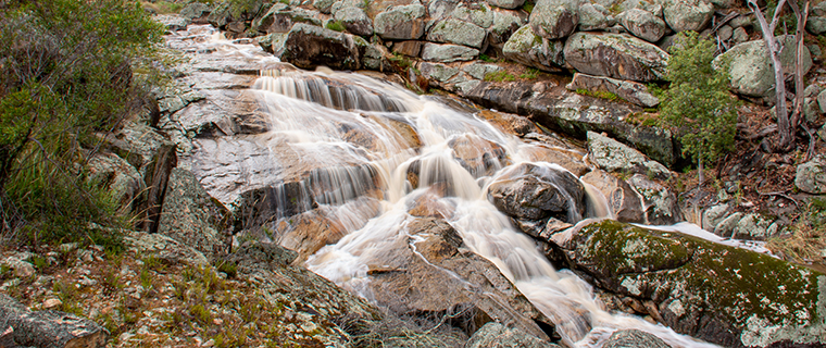 Duncan's Falls · BioDiversity4All